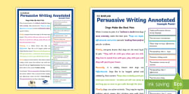 Persuasive Writing Word Mat - Teaching Resources
