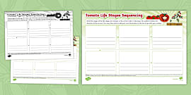 The Skin Mind Map (Teacher-Made) - Twinkl