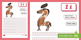 FREE! - Moja pasja | Karty pracy (teacher made) - Twinkl