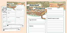 KS2 Bearded Dragon Fact File (teacher made) - Twinkl