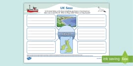 Jellyfish Mind Map (teacher made) - Twinkl