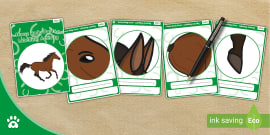 Draw the Horse Art Activity,horse,horses (teacher made)