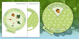 Hen Life Cycle Spin Wheel (teacher made) - Twinkl