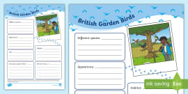 Bird Fact File Worksheets (teacher made) - Twinkl