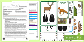 Footprints Display Photos (teacher made)