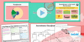 Vertebrates and Invertebrates KS2 PowerPoint (Teacher-Made)