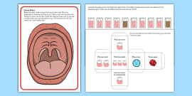 Healthy Teeth Matching Game (teacher made) - Twinkl