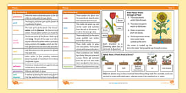 Science: Plants Year 3 Unit Pack (teacher made)