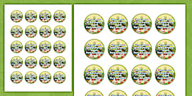 Panghalip Paari Worksheet | Grade 4 - 6 | Tiwnkl PH - Twinkl