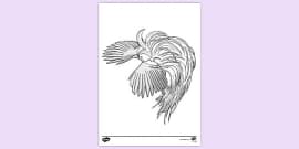 FREE! - Tui Bird Colouring Sheet | Colouring Sheets | Twinkl