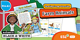 English Toy Shop Reading Comprehension for Beginners