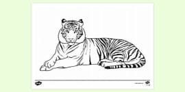 Jungle Tiger Word Mat (teacher made) - Twinkl