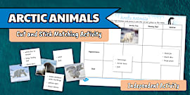 Arctic Wolf Diagram Activity Pack