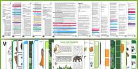 EYFS Ages 3-5 Forest and Woodland Resource Pack - Twinkl
