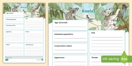 Koalas Fact File Template, Koalas (teacher made) - Twinkl