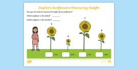 Shortest to Tallest Flower Sequencing Worksheet / Worksheet