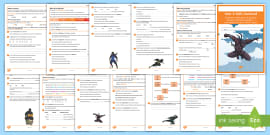 20 SPaG Starters Worksheets | KS3 SPaG | Beyond English