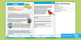 Ontario Interactive Reading Comprehension - Grades 4-6