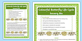 Butterfly Life Cycle Interactive Visual Aid (teacher made)