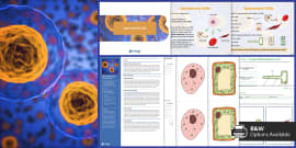 Labelled Cells Display Posters | Twinkl (teacher made)