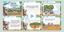 FREE! - Why the Koala Has a Stumpy Tail Story Sequencing Cards-Australia