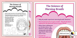 The Science of Snot Poster (teacher made) - Twinkl