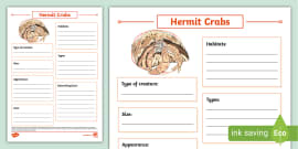 FREE! - Tree Fact File: Crab Apple (teacher made) - Twinkl