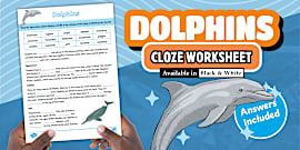Shark Camouflage Fold Book Worksheet / Worksheet