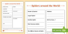 Palace of Versailles Fact File Template (teacher made)