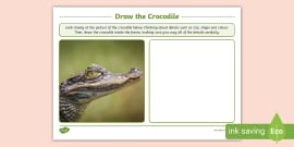 KS1 Crocodiles Fact File (teacher made) - Twinkl