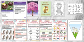 Spring Flowers Colouring Sheets | Twinkl Party - Twinkl