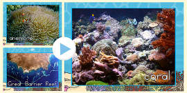 Great Barrier Reef Upper Primary Fact File