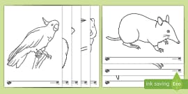 Australian Animals Word Mat | Australian Animals With Words