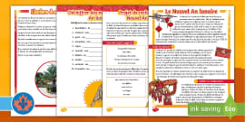 Lunar New Year Reading Comprehension French (teacher made)