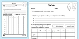 KS2 Types of Joints Matching Activity