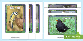 Bird Word Mat (teacher made)