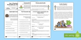 👉 Apostrophes Punctuation Poster (teacher made) - Twinkl