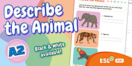 Describing Animals PowerPoint
