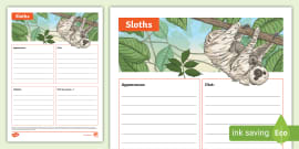 KS1 Sloths Fact File | Animals and Wildlife (teacher made)