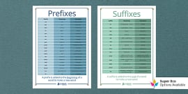 Prefix and Suffix Types Mini Display Posters (teacher made)