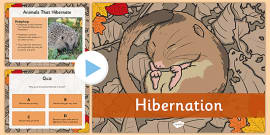 Animal Migration Informational PowerPoint