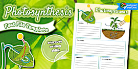 Photosynthesis Comic Strip - Interactive