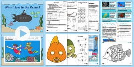KS1 Under the Sea (teacher made) - Twinkl