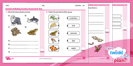 KS1 Year 1 Animals, Including Humans Revision Activity Mat