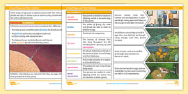 Science: Living Things & Their Habitats: Y4 Knowledge Organiser