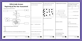 Fifth Grade Middle of the Year Science Assessment - Twinkl