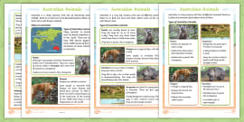 Animal Factfile Template Worksheets - animal, factfile