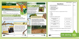 Orangutan Fact File Template (teacher made) - Twinkl