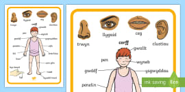 Welsh Parts of the Body Word Mat | Twinkl Welsh Resources