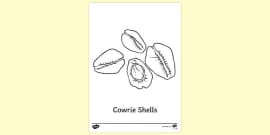 FREE! - Rayed Trough Shell Colouring Sheet | Colouring Sheets